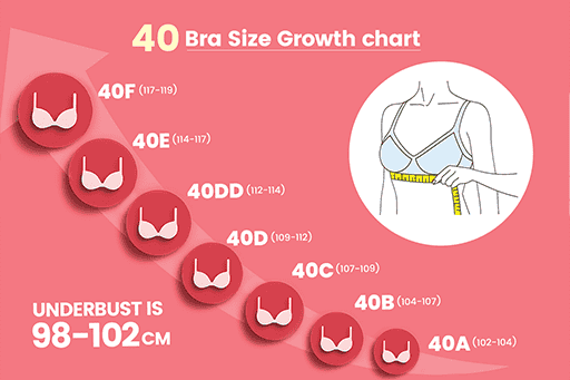 40 Bra Size Guide - How to Measure 40 Bra Size & Get the Right Fit